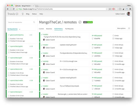 R And Github Good Practices