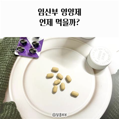 임산부 영양제 시기 임신 중 어떻게 먹을까 네이버 블로그