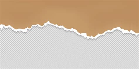 찢어진 수평 부분 텍스트의 사각형 회색 배경에 부드러운 그림자가 있는 수평 공예 종이 조각 벡터 그림 0명에 대한 스톡 벡터