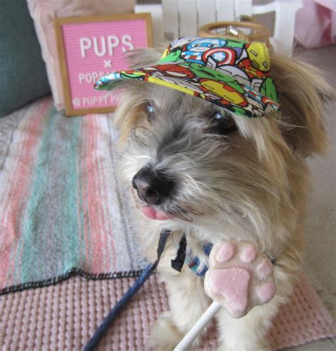 share a tool i made to copy paste animation transitions in animator r unity3d