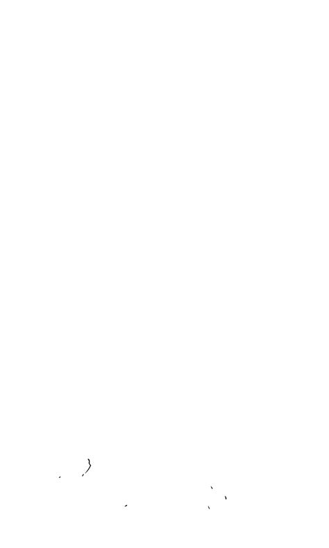 Ginkgo Biloba Cc0 10 Phylopic