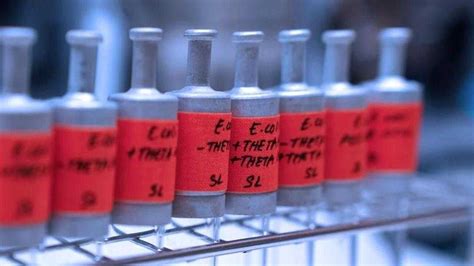 Carbon Dioxide A Breakthrough Arrives For Synthetic Fixation In Living Cells