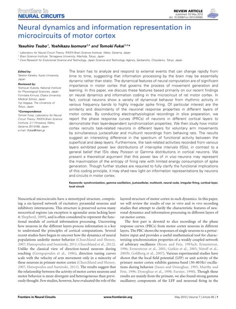 pdf neural dynamics and information representation in microcircuits