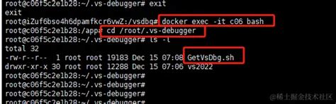记录如何使用vs2022远程调试linux系统里的容器实例1 打开：调试 附加到进程窗体 连接类型选择docker Li 掘金