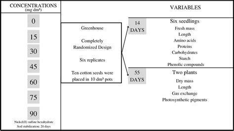 Scheme Of Experimental Design And Variables Analyzed In The Experiment Download Scientific Diagram