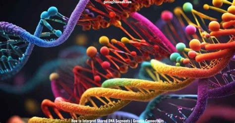 How To Interpret Shared DNA Segments Genetic Connections