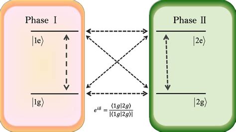 the schematic of the state coupling in phase i ii and at the phase