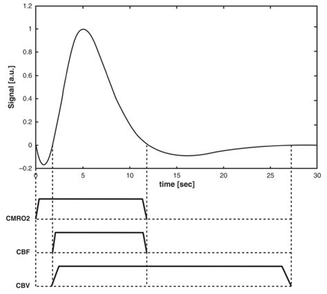 3 A Typical Haemodynamic Response Function Explained With Underlying