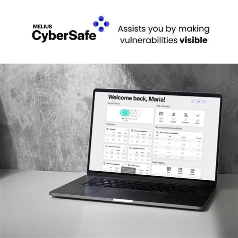 Melius Cyber On Linkedin A Penetration Test Is Just Like An Mot For Your Business At The Point In…
