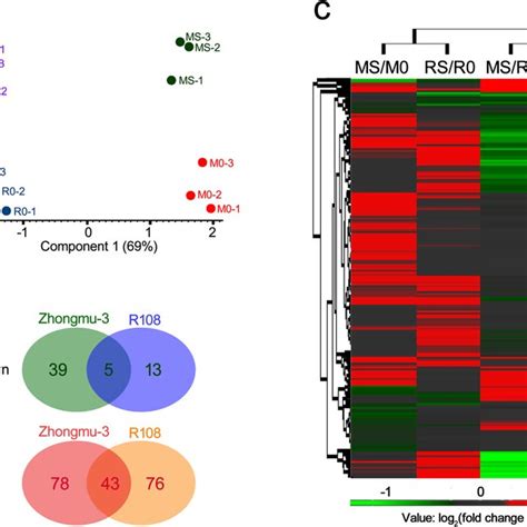 the statistical analysis of itraq data a principal component