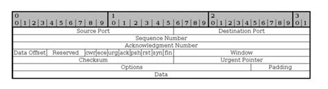 Network Engineer Stuff Tcp Headers