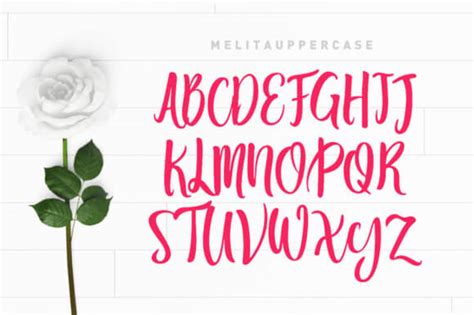 Melita Script Font Fontforlife