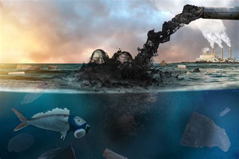 Easy Ways For Prevention Of Soil Pollution Green Coast