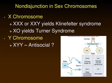 Mutations Chapter Ppt Download