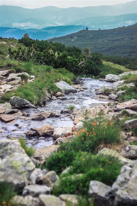 Creek Or Crick What S The Difference Between Creek And Crick Grammar Giant