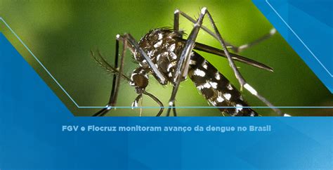 Fgv E Fiocruz Monitoram Avanço Da Dengue No Brasil Fgv Emap
