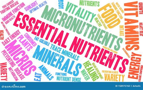 Essential Nutrients For Uterus Health Including Omega 3 Arginine Lutein Lecithin Royalty