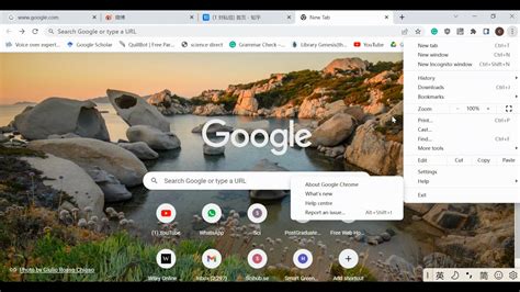 下载selenium及其适配谷歌浏览器插件chromedriver（含chrome各版本及下载地址） Xudong5273 博客园
