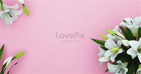백합 꽃 배경 배경 사진 및 창의적인 일러스트 무료 다운로드 Lovepik