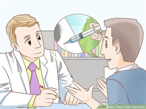 How To Give Cattle Injections Safety For Sq Im And Iv Shots