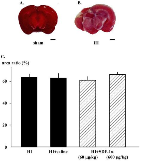 Rotarod Test Results Demonstrating That Motor Coordination Was Download Scientific Diagram