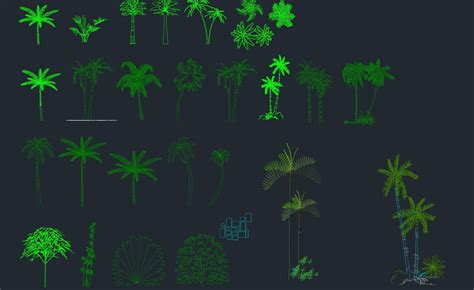 Coconut Palms Trees Plant Front View Elevation 2d Dwg Block For Autocad