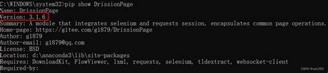 自动化测试框架：drissionpage（1）——安装与设置 csdn博客