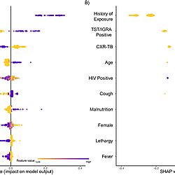 SHAP Summary Plot For SVM Polynomial Model