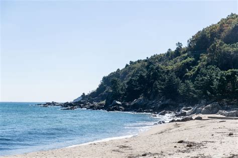 명파해변 Tripmate