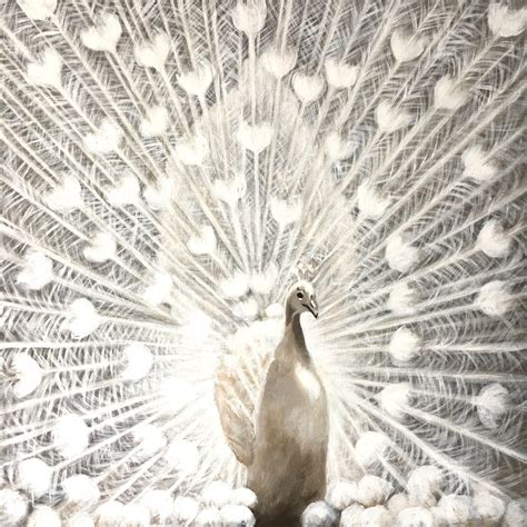 White Peacock Art Lovers Australia