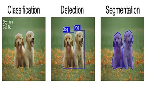 Do Object Detection Classification Segmentation Using Yolo Deep