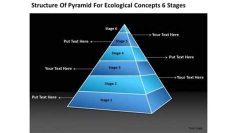 Ecosystem Pyramid Understanding The Different Types Of Ecological