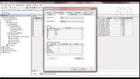 tutorial arcgis cap 12 07 geodatabases suptipos asociados con dominios