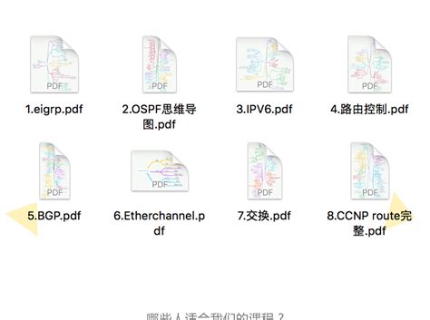 Ccie Ei Funnet超有趣网络