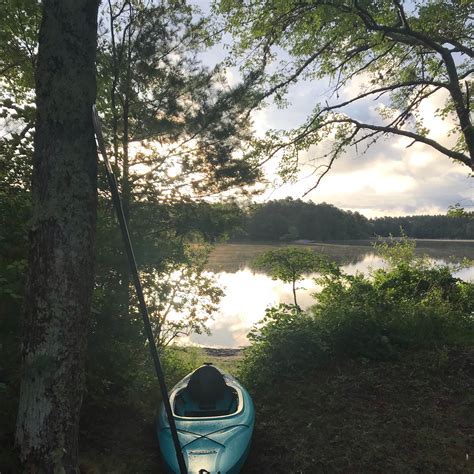 Curlew Pond Campground — Myles Standish State Forest Carver