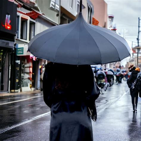 Gothic Black Pagoda Umbrella Unique Gothic Style Waterproof Perfect