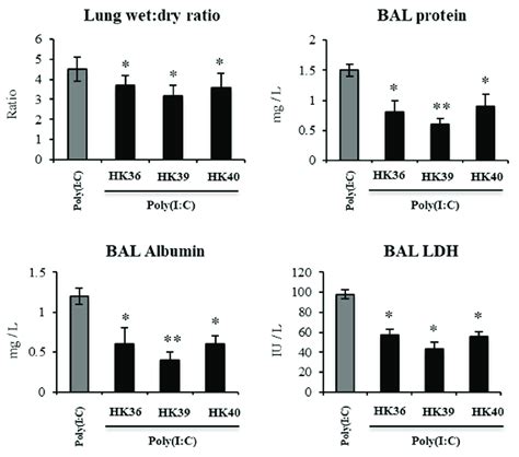 Effect Of Non Viable Lactobacillus Gasseri Strains On The Lung Tissue Download Scientific