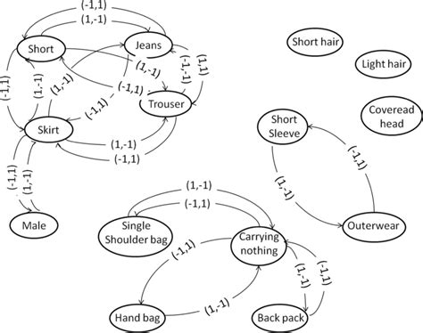 Graphical Representation Of The Weighted Appearance Interaction Graph Download Scientific Diagram