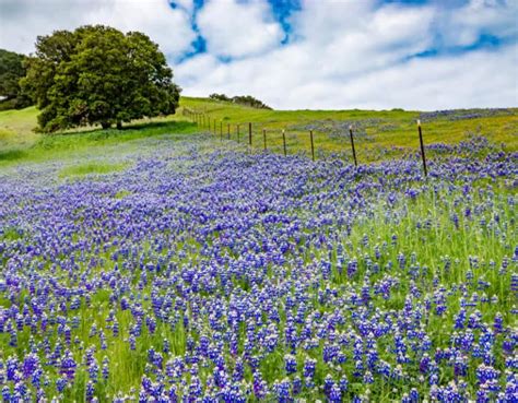 26 Exciting Things To Do In Monterey California Roadtripping California