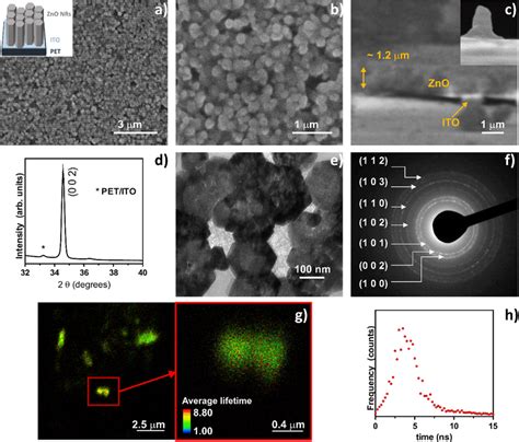 Physicochemical Characterization Of Zno Nrs Scanning Electron
