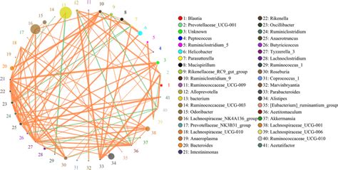 Functional Analysis And Co Expression Analysis Of All Mice Sparcc Was