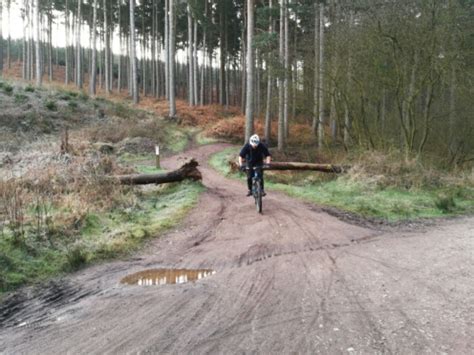 Strava Not Working Properly On Your Huawei Heres The Fix Coolsmartphone