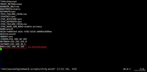 linux dns 域名解析服务（bind正向解析、主从复制） bind主从 csdn博客