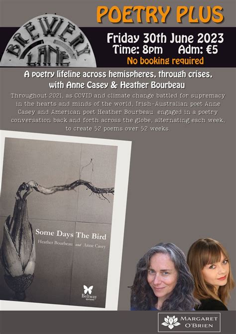 Launch Poetry Book Tipperary Ireland Live In Event Published