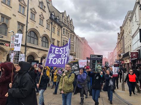 Protest Animal Testing