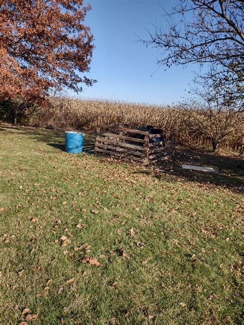 Experimenting With Leaf Composting Tips Leave It Water It Pee On