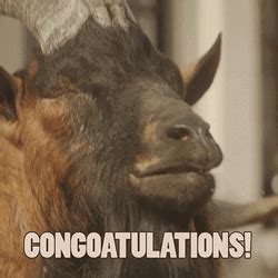 Congratulations Funny S Download And Share