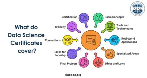 What Are Data Science Certificates Iabac