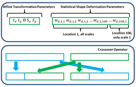 In 154 Like In Many Other Statistical Shape Model Approaches Download Scientific Diagram