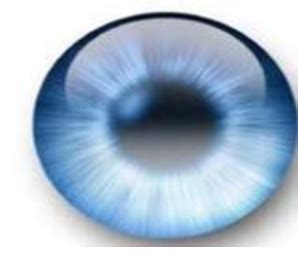 Figure From A Review On Security Of Multimodal Biometrics Semantic Scholar